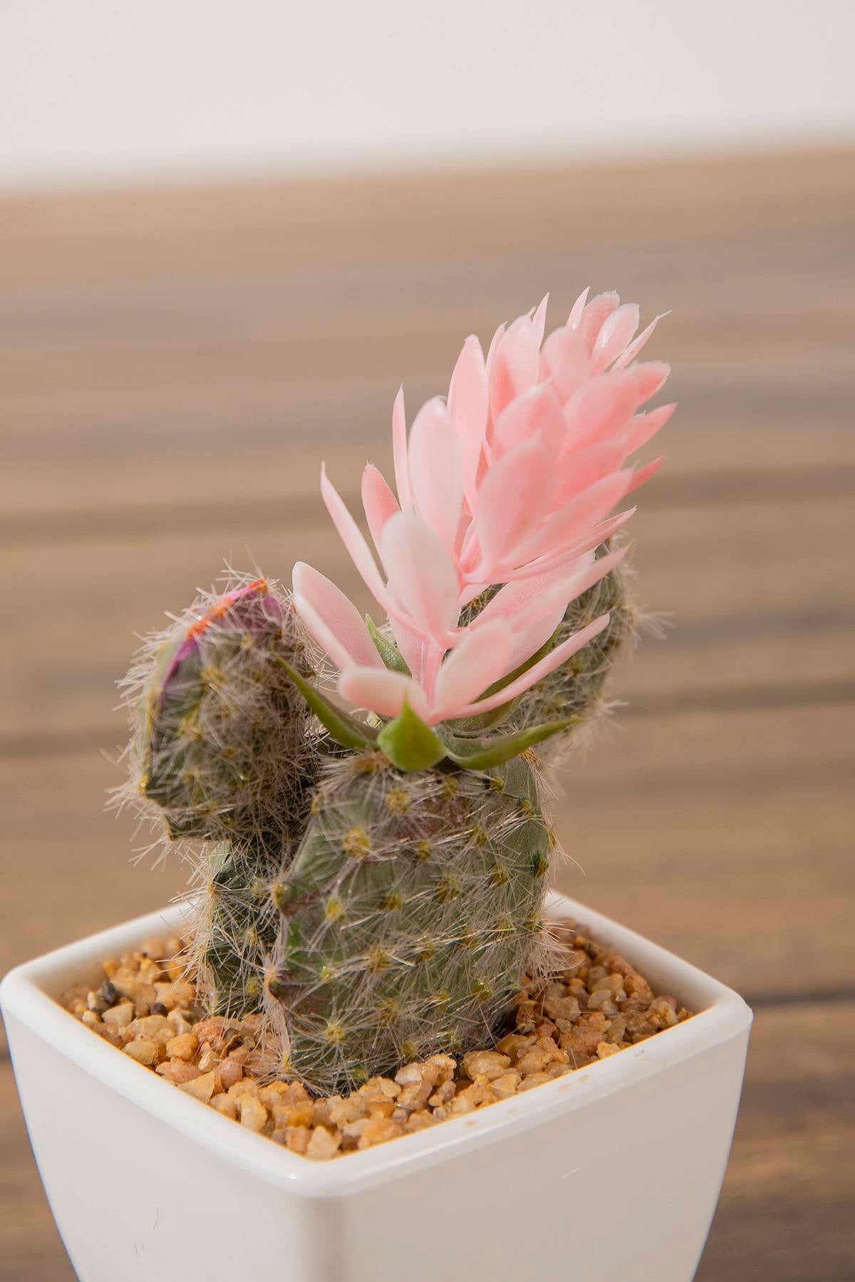 Planta Artificial Cactus Con Macetero Concepts De Prati Tienda Online
