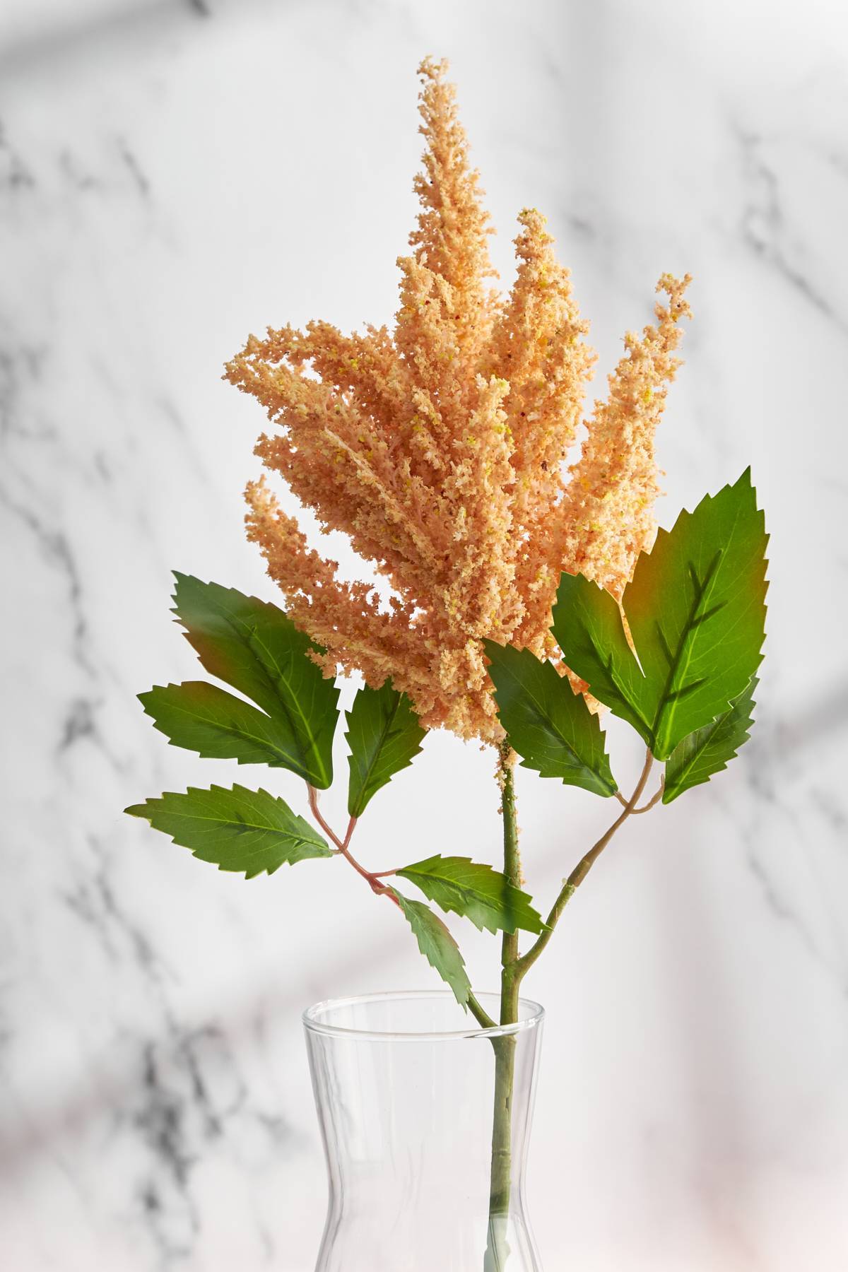 Rama Decorativa Concepts | De Prati Tienda Online