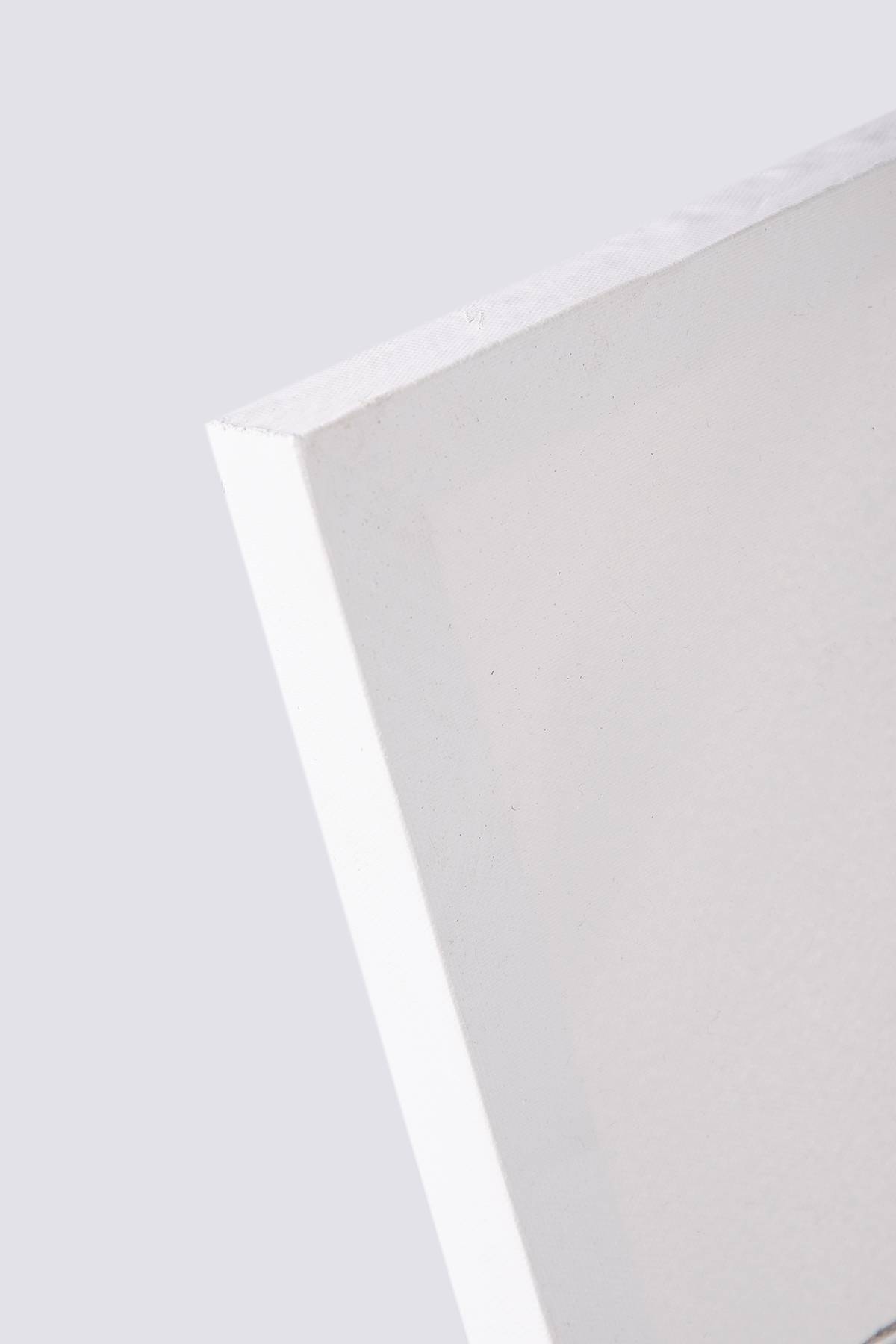 Cuadro Flor plateada Concepts | De Prati Tienda Online