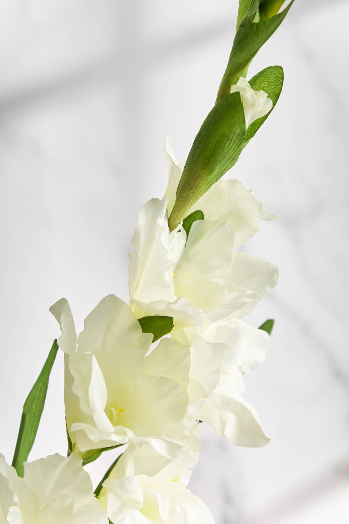 Gladiola artificial Concepts | De Prati Tienda Online