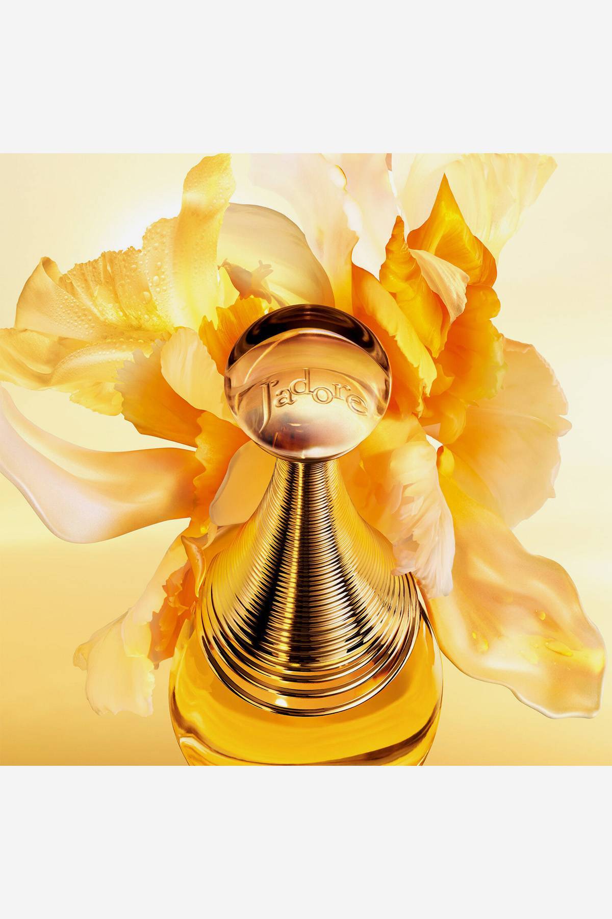 Eau de Parfum Jadore Dior 100 ml | Deprati Tienda Online