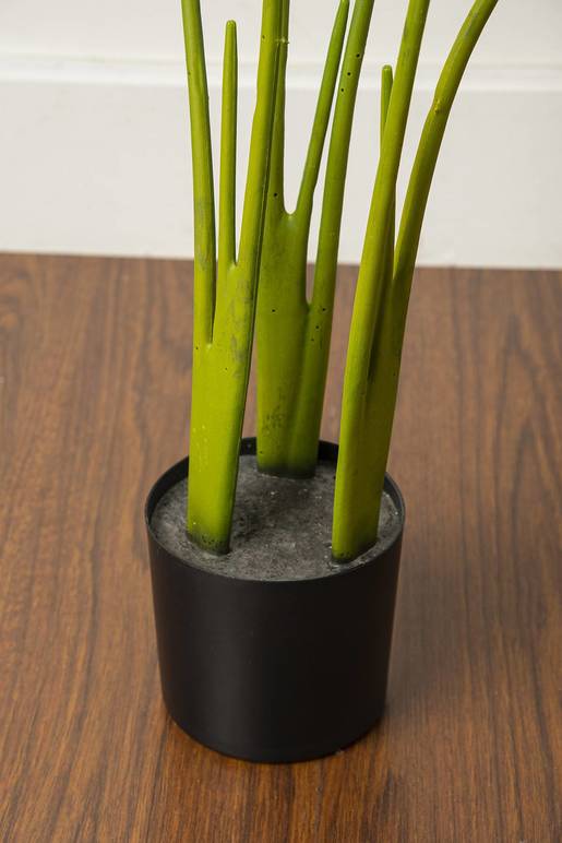 Planta Artificial con Macetero Concepts 80cm | De Prati Tienda Online