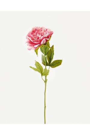 Teepee Dinosaurio Deconova | Deprati Tienda Online