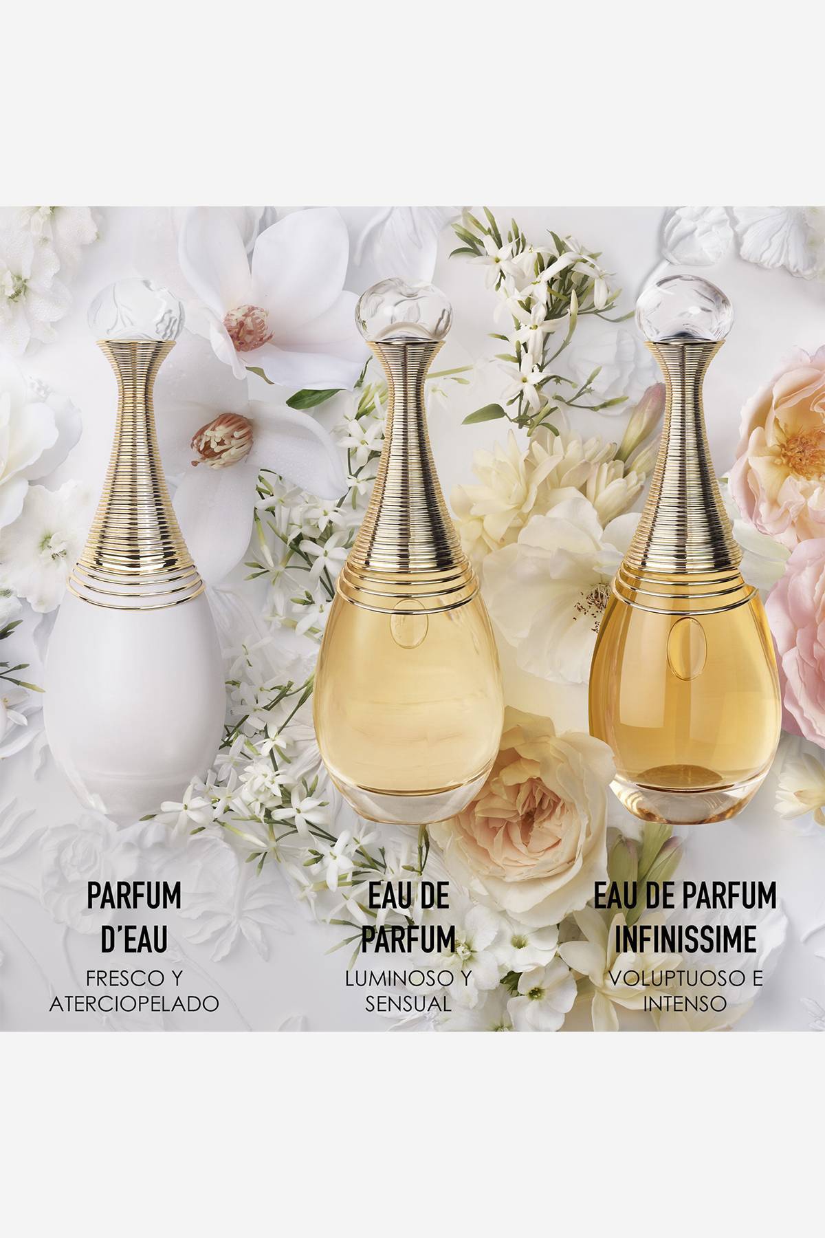 Eau de Parfum Jadore Dior 100 ml | Deprati Tienda Online