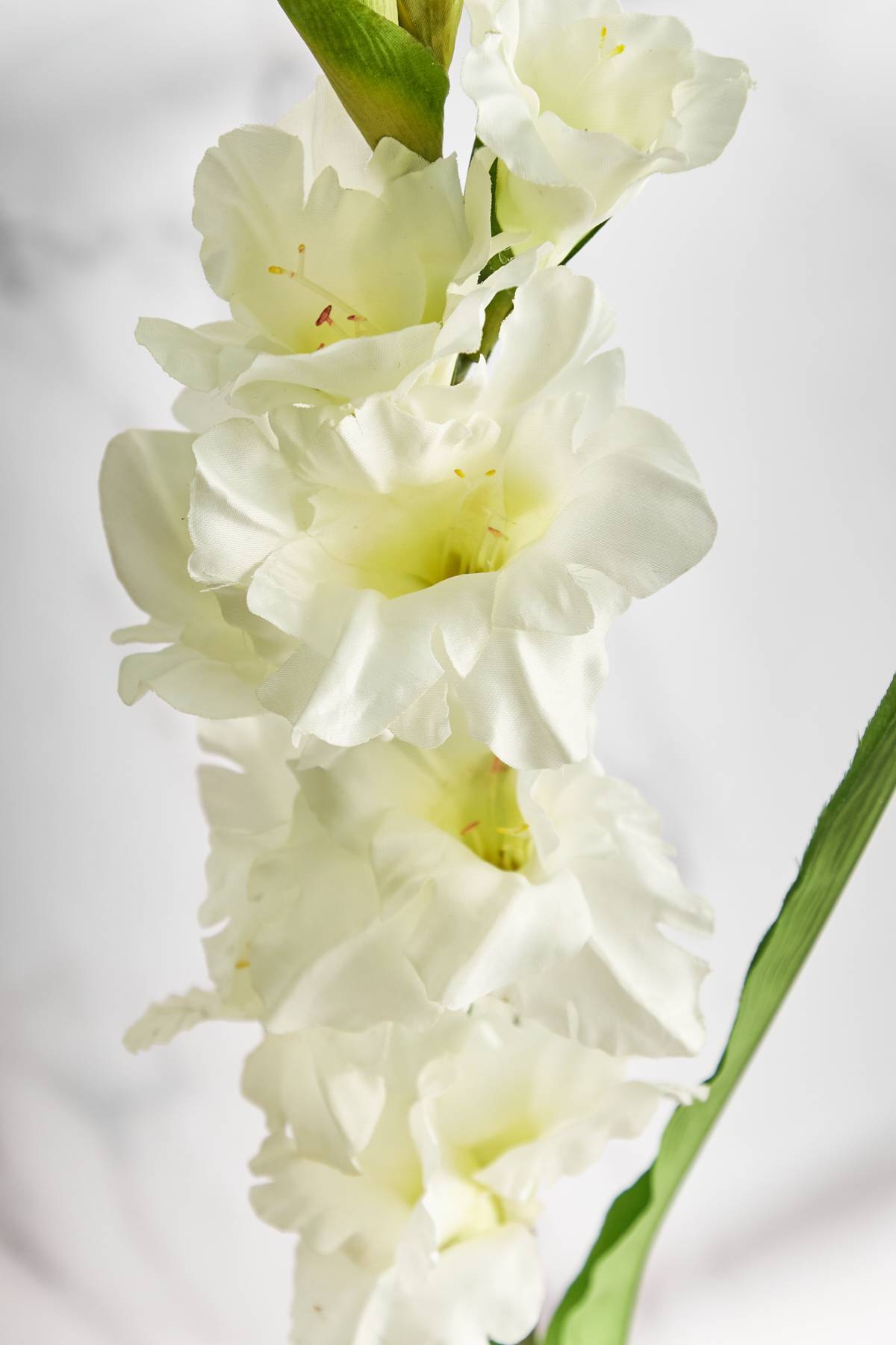 Gladiola artificial Concepts | De Prati Tienda Online