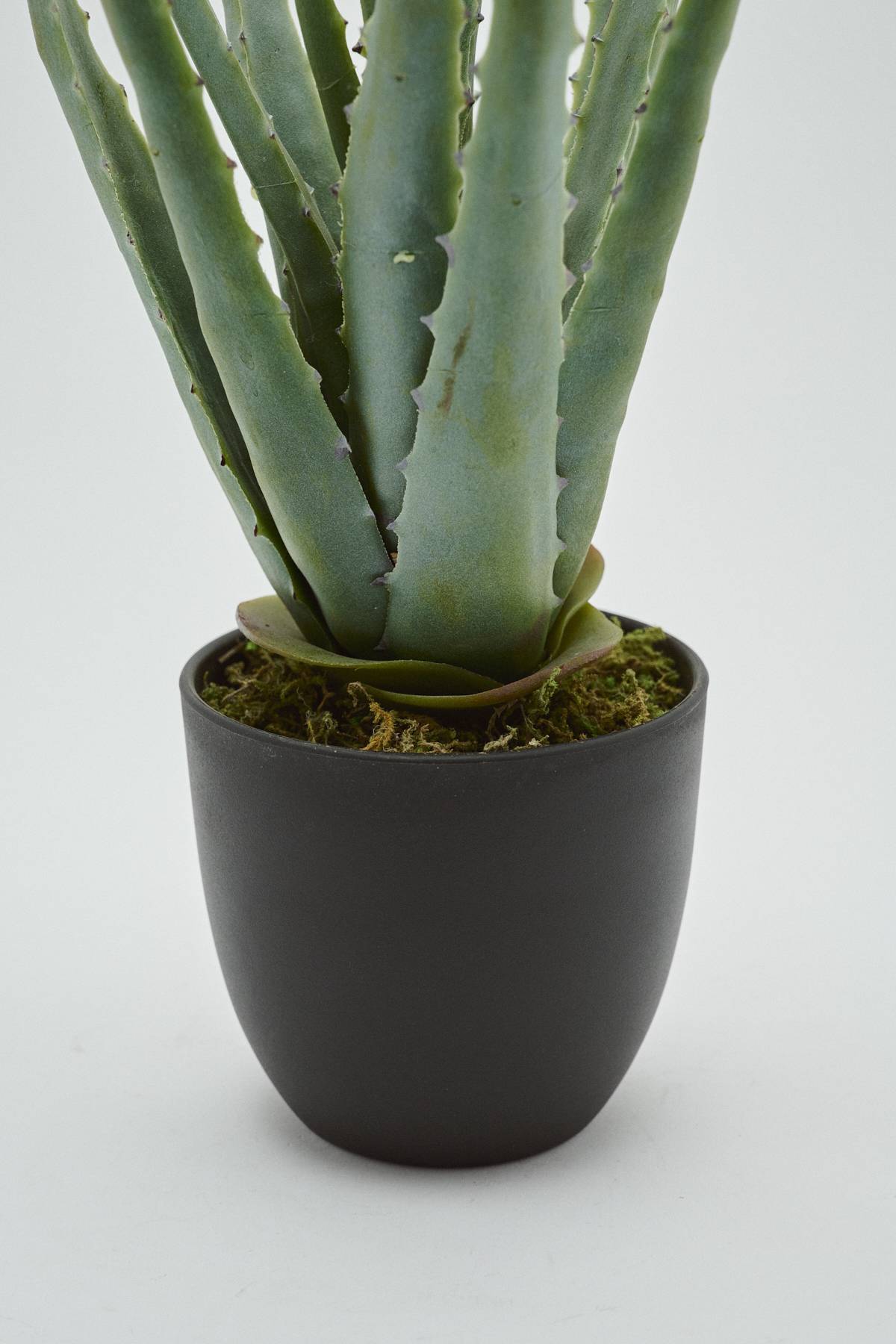 Sábila Decorativa con Macetero | Deprati Tienda Online