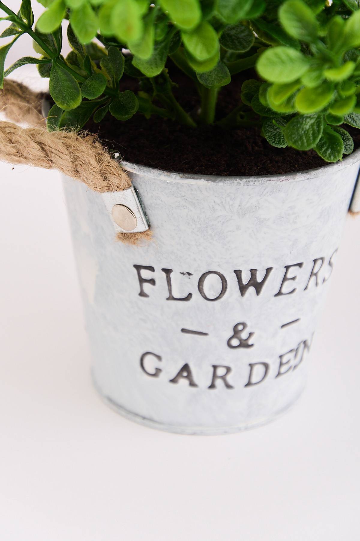 Planta con Macetero Concepts | De Prati Tienda Online