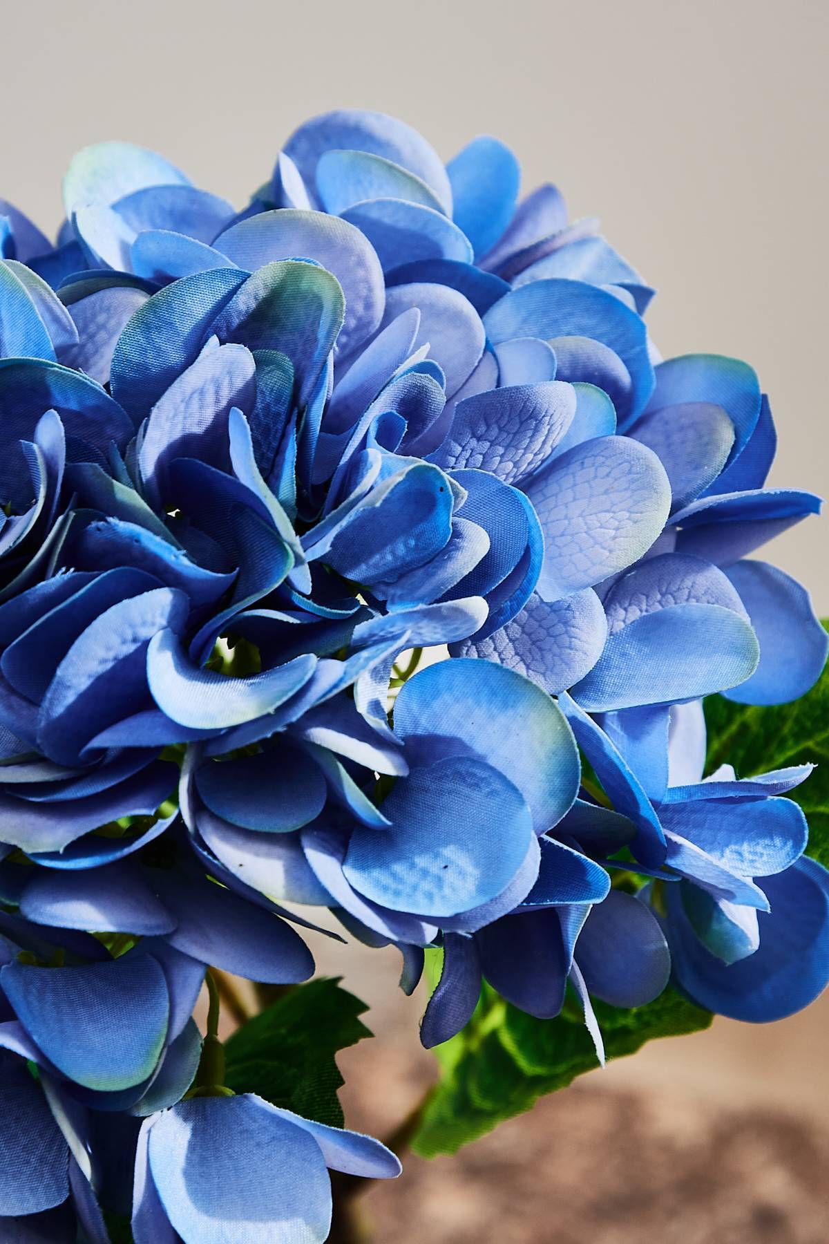 Flor Decorativa Concepts | Deprati Tienda Online