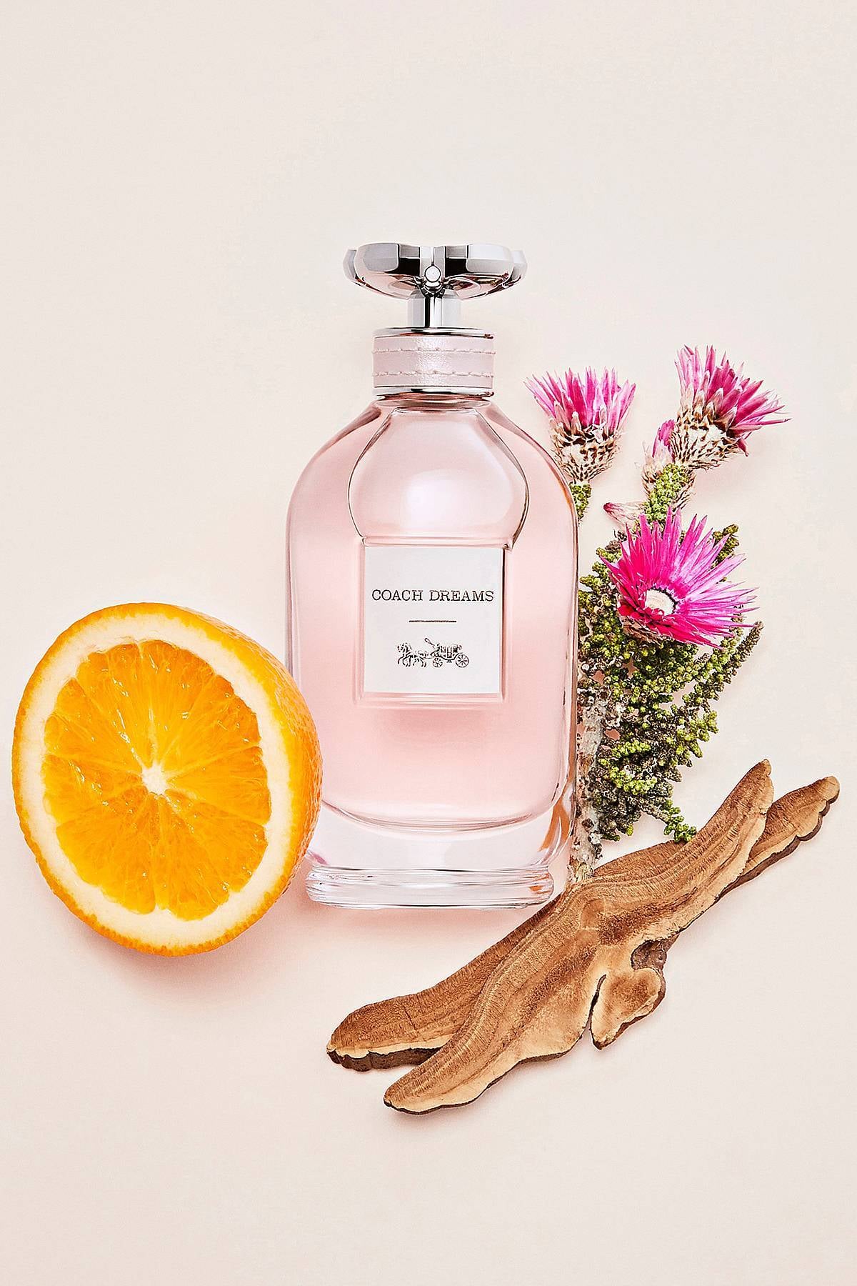 Eau de Parfum Coach Dreams Coach 90 ml | Deprati Tienda Online